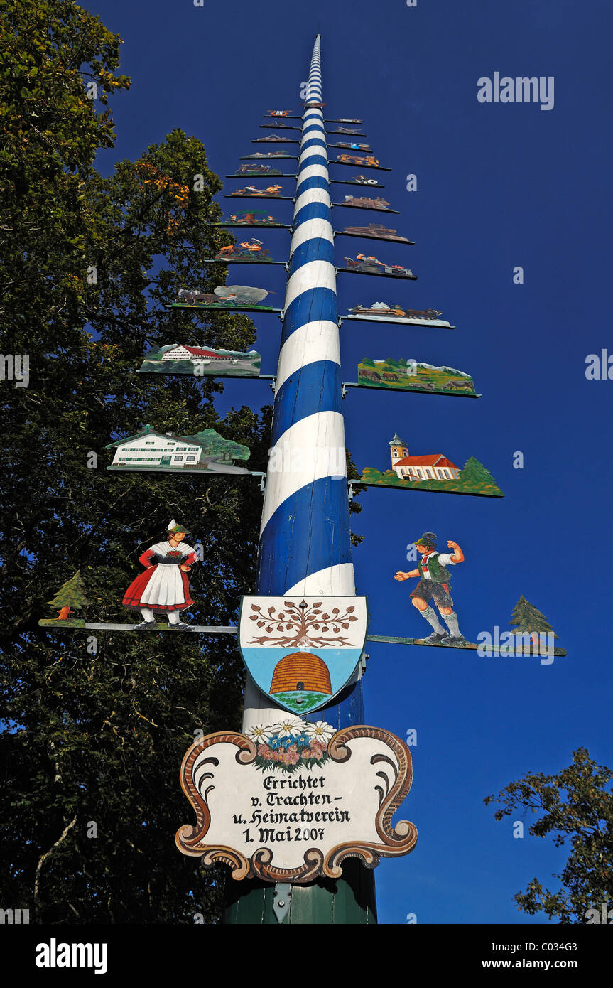 Maypole against a blue sky, Wildsteig, Upper Bavaria, Bavaria, Germany ...