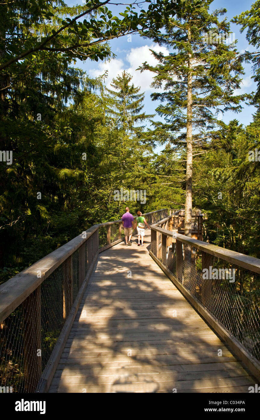 World's longest tree top walk, Neuschoenau, Bavarian Forest National ...