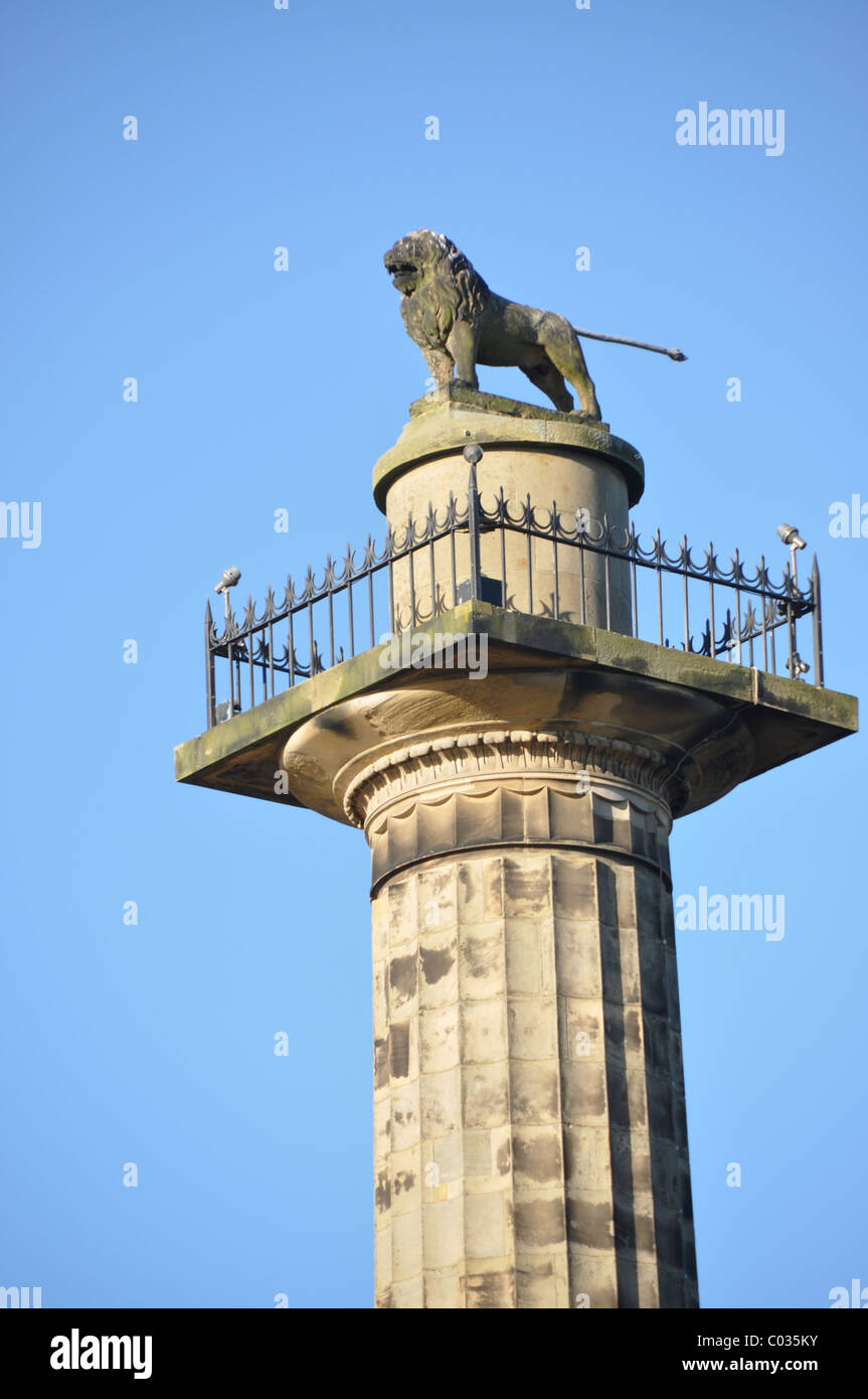 Percy lion hi-res stock photography and images - Alamy
