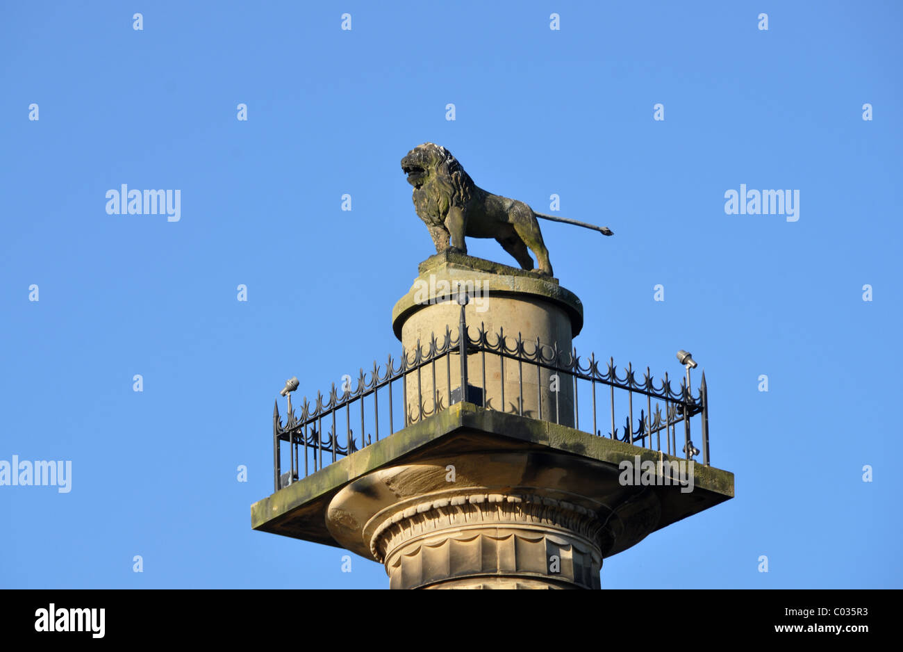 Percy lion hi-res stock photography and images - Alamy