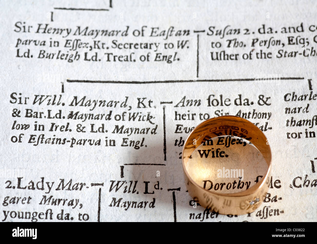 Family tree ancestry hi-res stock photography and images - Alamy