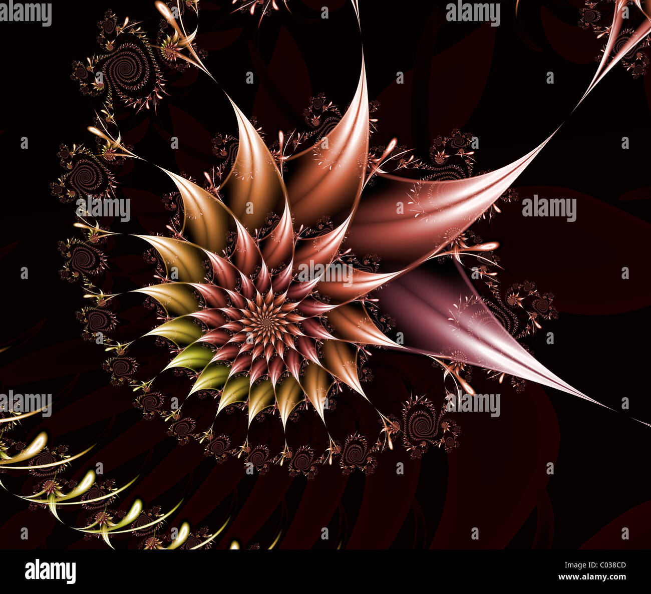 Fractal formations hi-res stock photography and images - Alamy