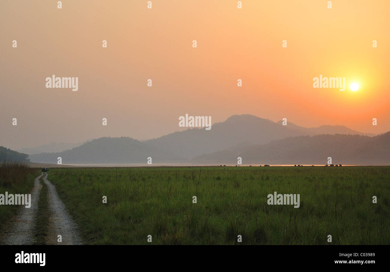Sunset over a grassland with vehicle track in the Dhikala range of Jim ...