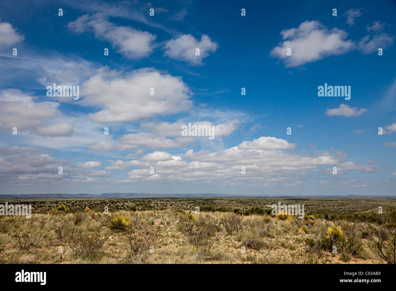 Desert scrub hi-res stock photography and images - Alamy