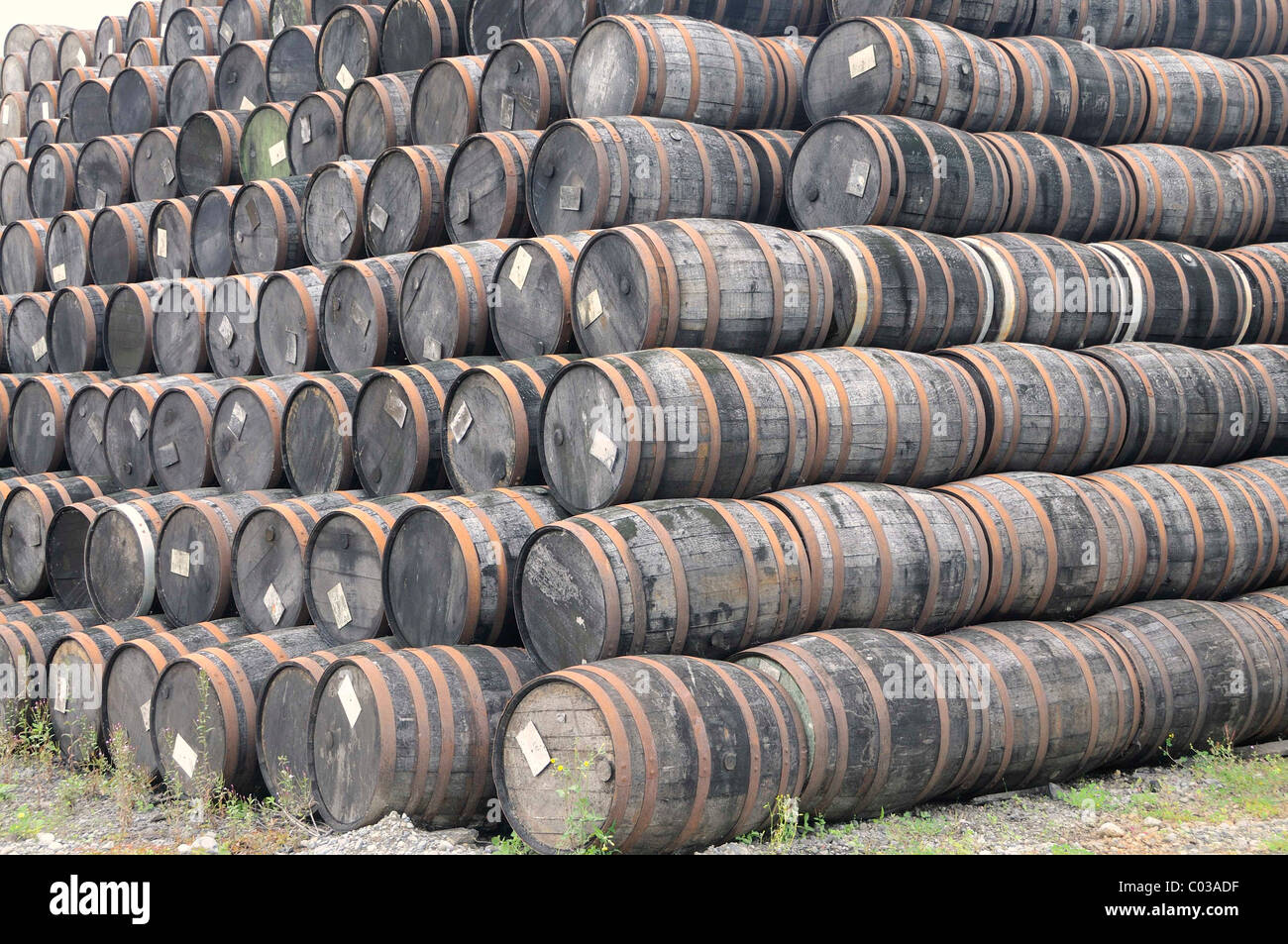 Stacked wooden whiskey barrels, oldest licensed whiskey distillery in ...