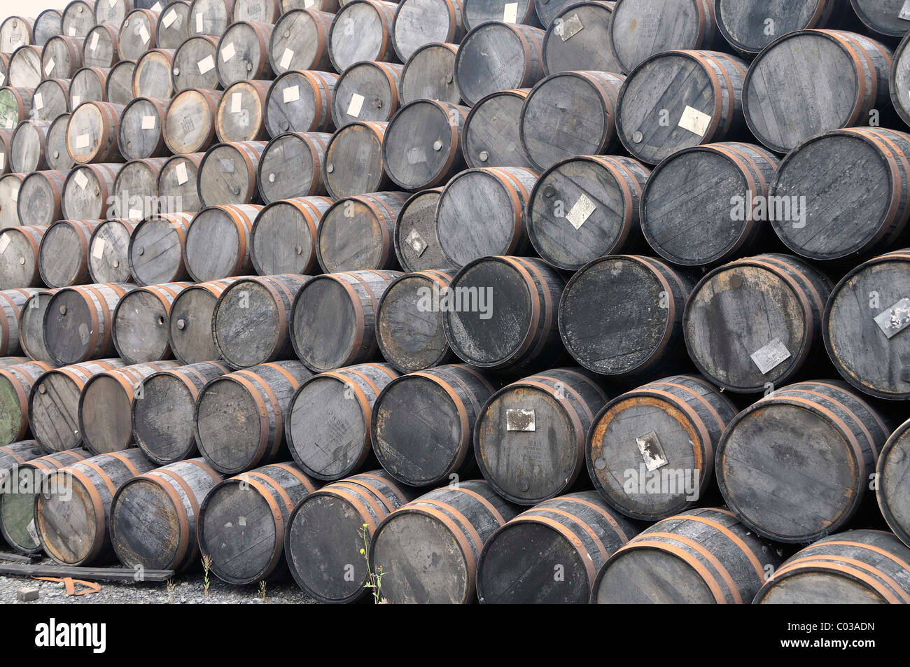 Stack of whiskey barrels, Locke's Distillery, the oldest licensed ...