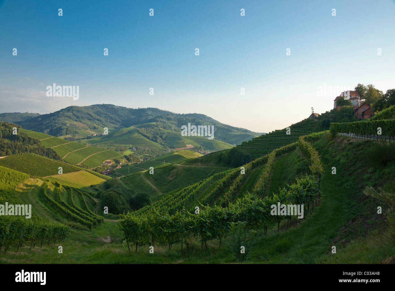 Schloss staufenberg in durbach hi-res stock photography and images - Alamy