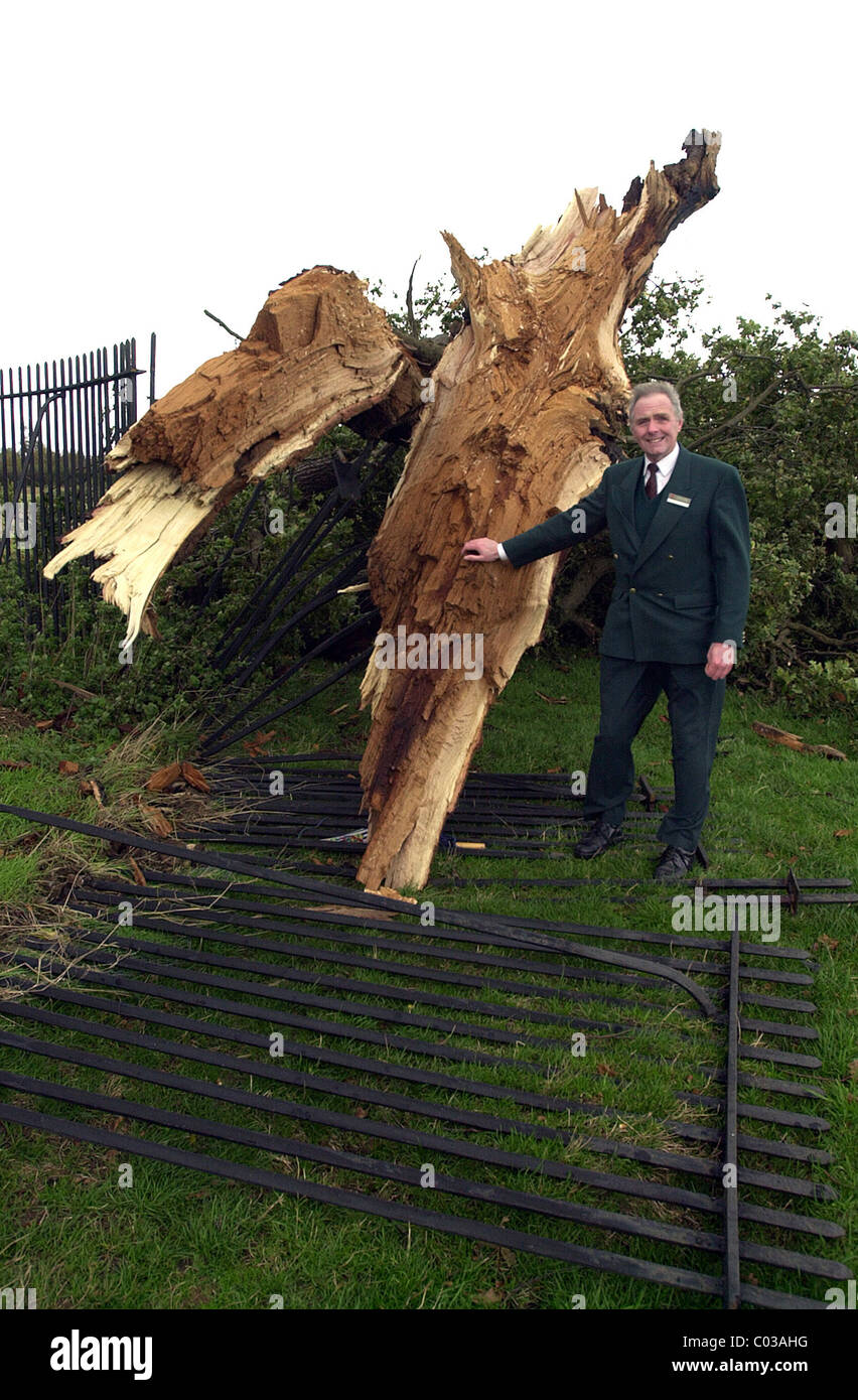 Boscobel House custodian Patrick Houghton with the famous Kings Oak ...