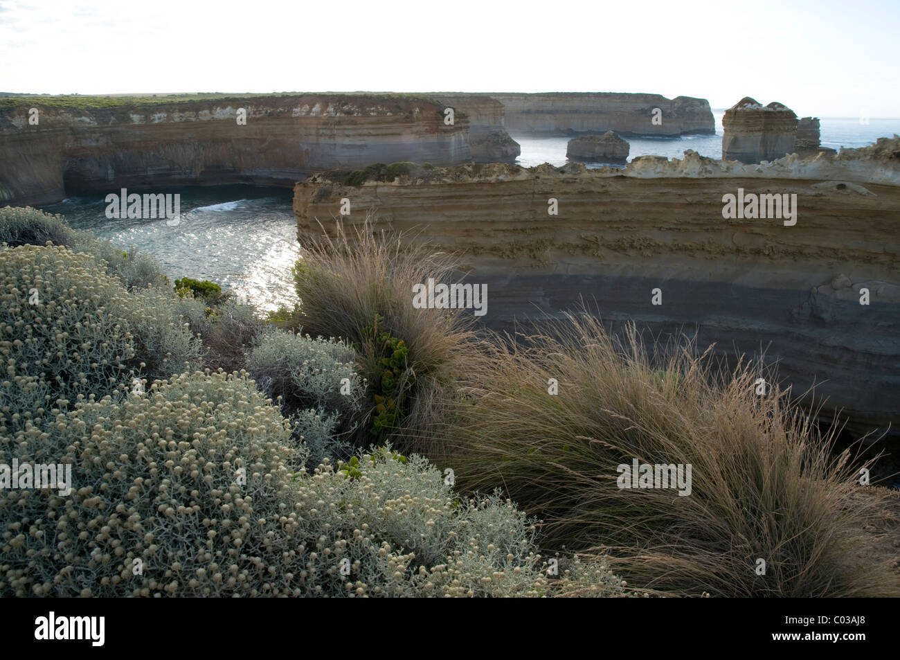 Razorback great ocean road victoria hi-res stock photography and images ...