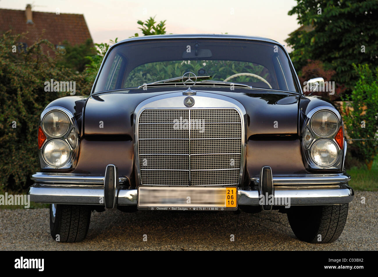 Car front view hi-res stock photography and images - Alamy