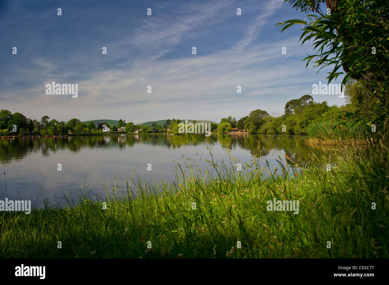 Heath pond, petersfield hi-res stock photography and images - Alamy