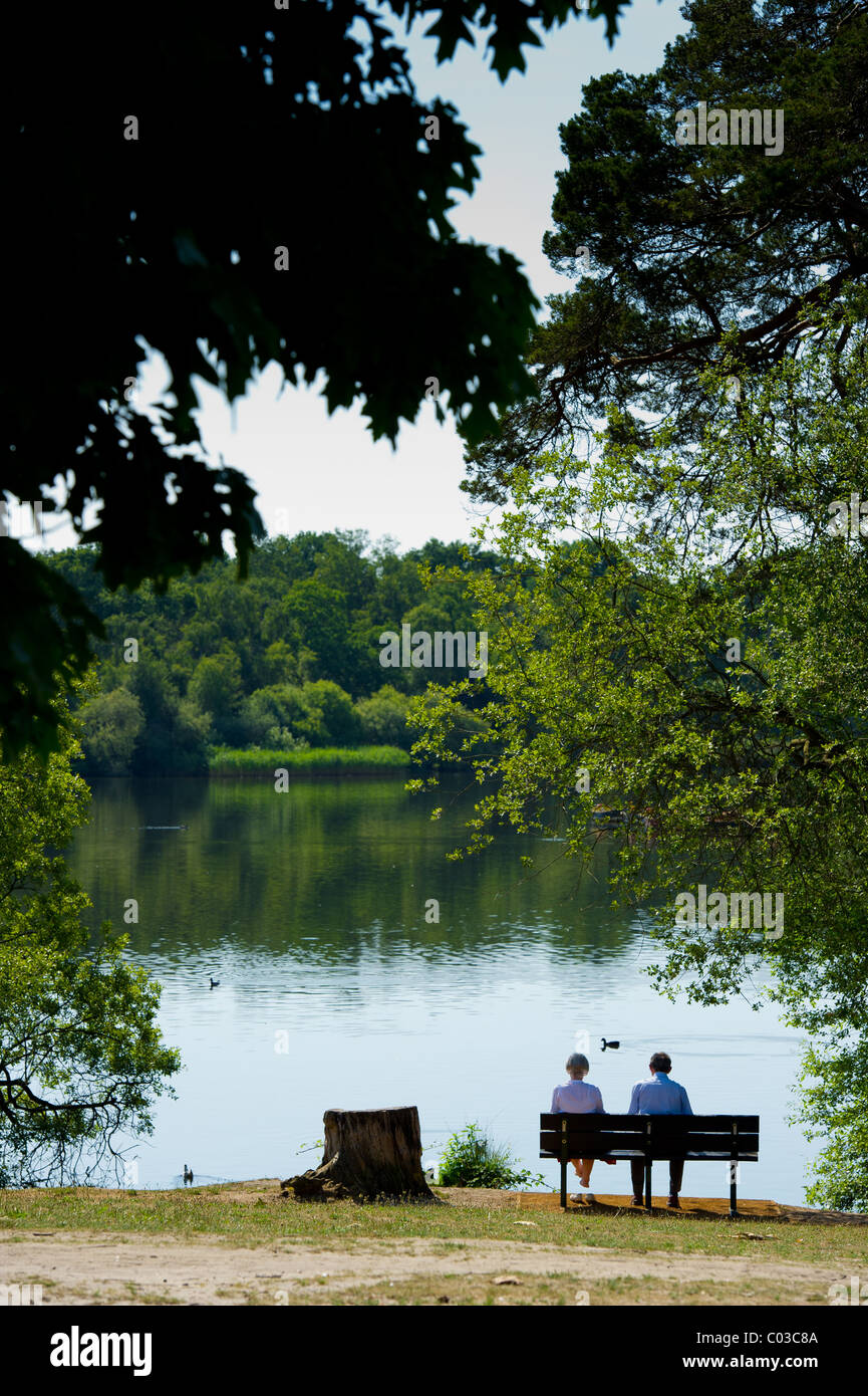 Heath pond, petersfield hi-res stock photography and images - Alamy
