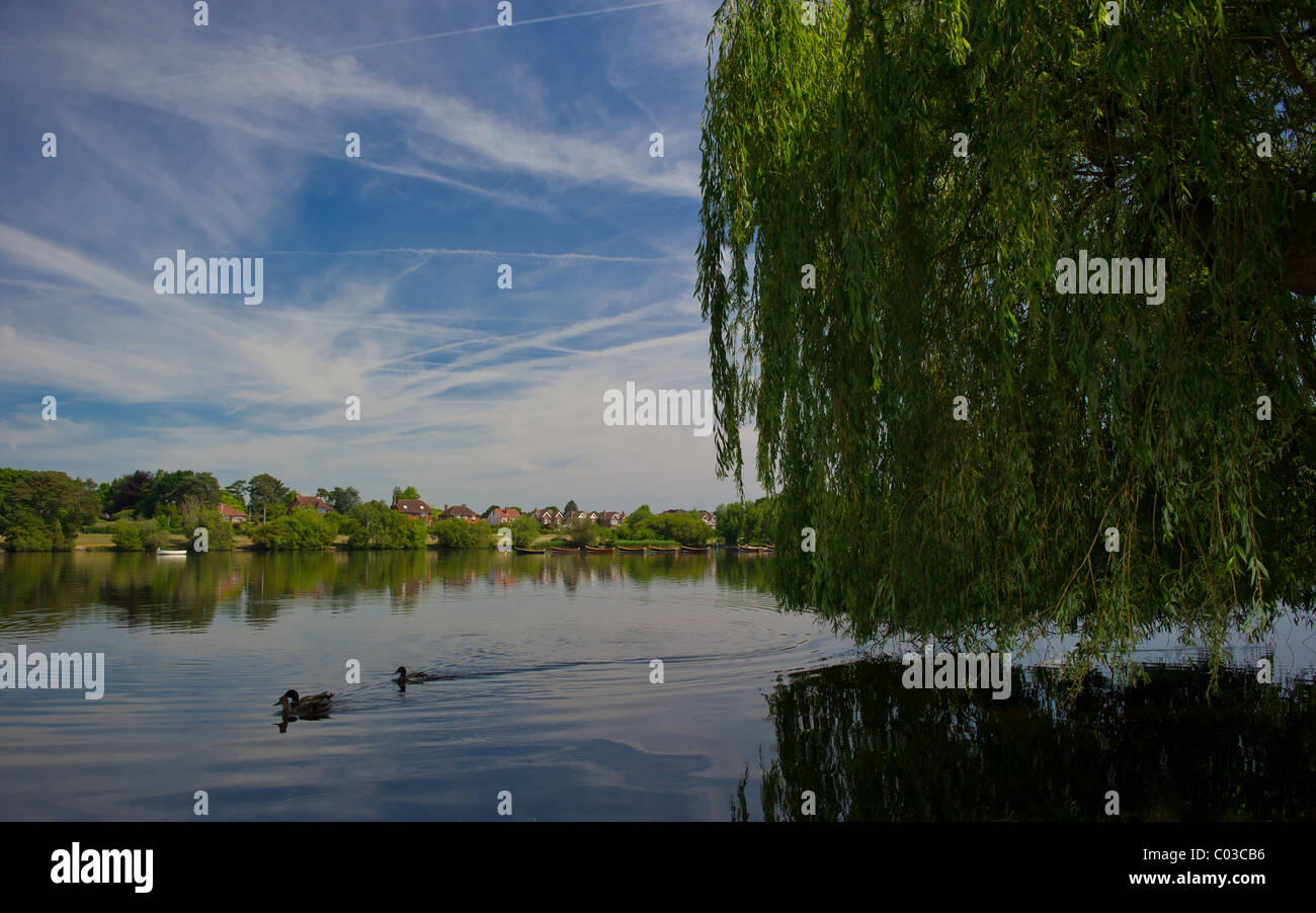 Petersfield lake hi-res stock photography and images - Alamy
