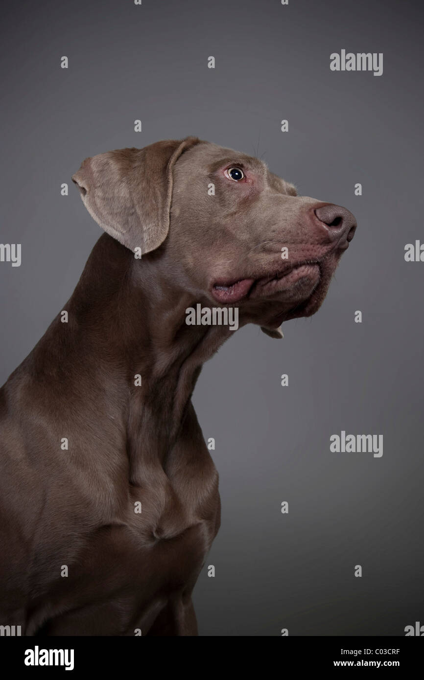 Hun interior hi-res stock photography and images - Alamy