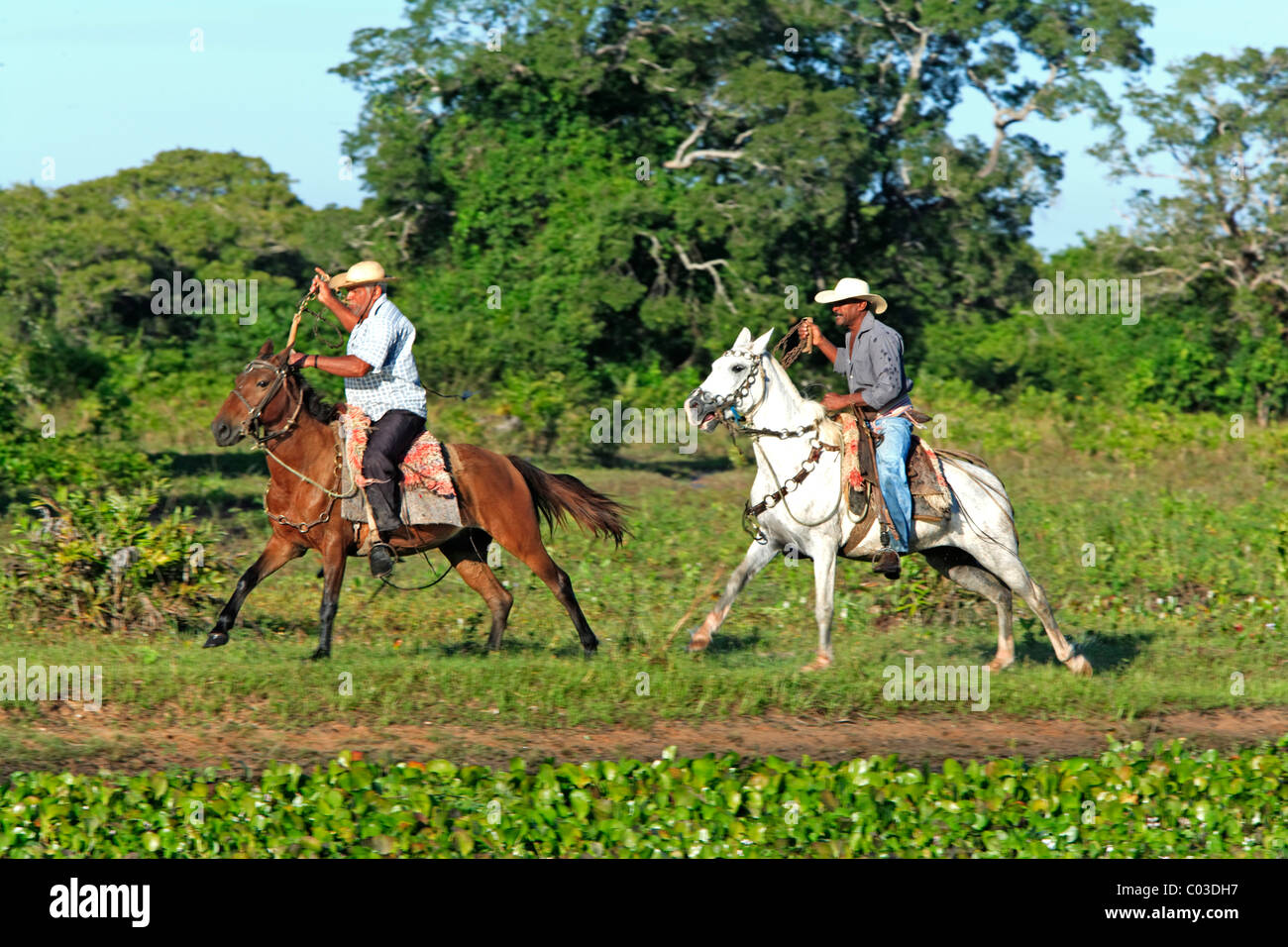 Two cowboys riding horses hi-res stock photography and images - Alamy