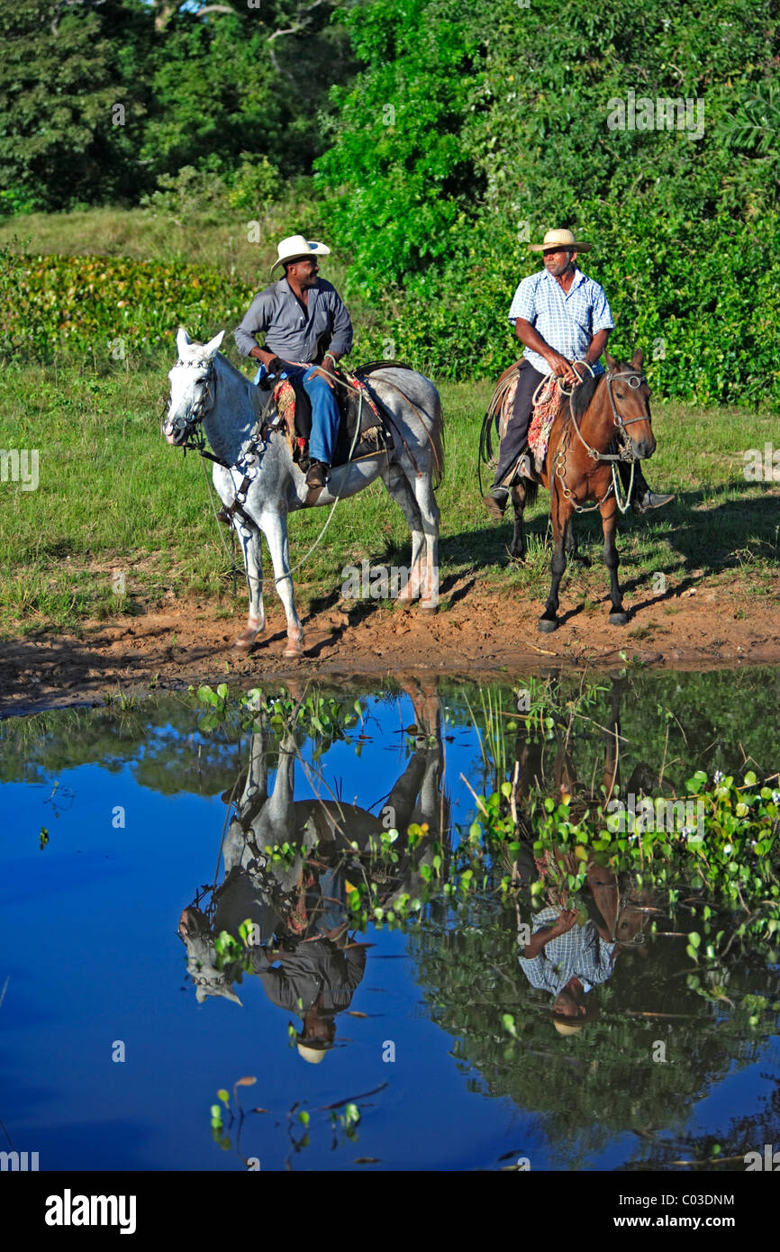 Brazilian pantanal and people hi-res stock photography and images - Alamy