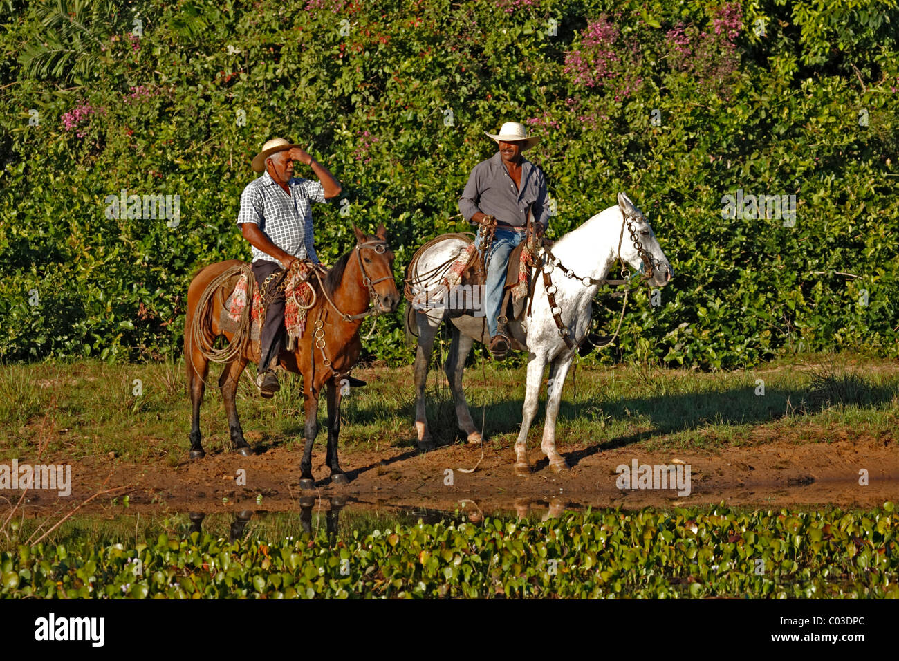 Two cowboys riding horses hi-res stock photography and images - Alamy