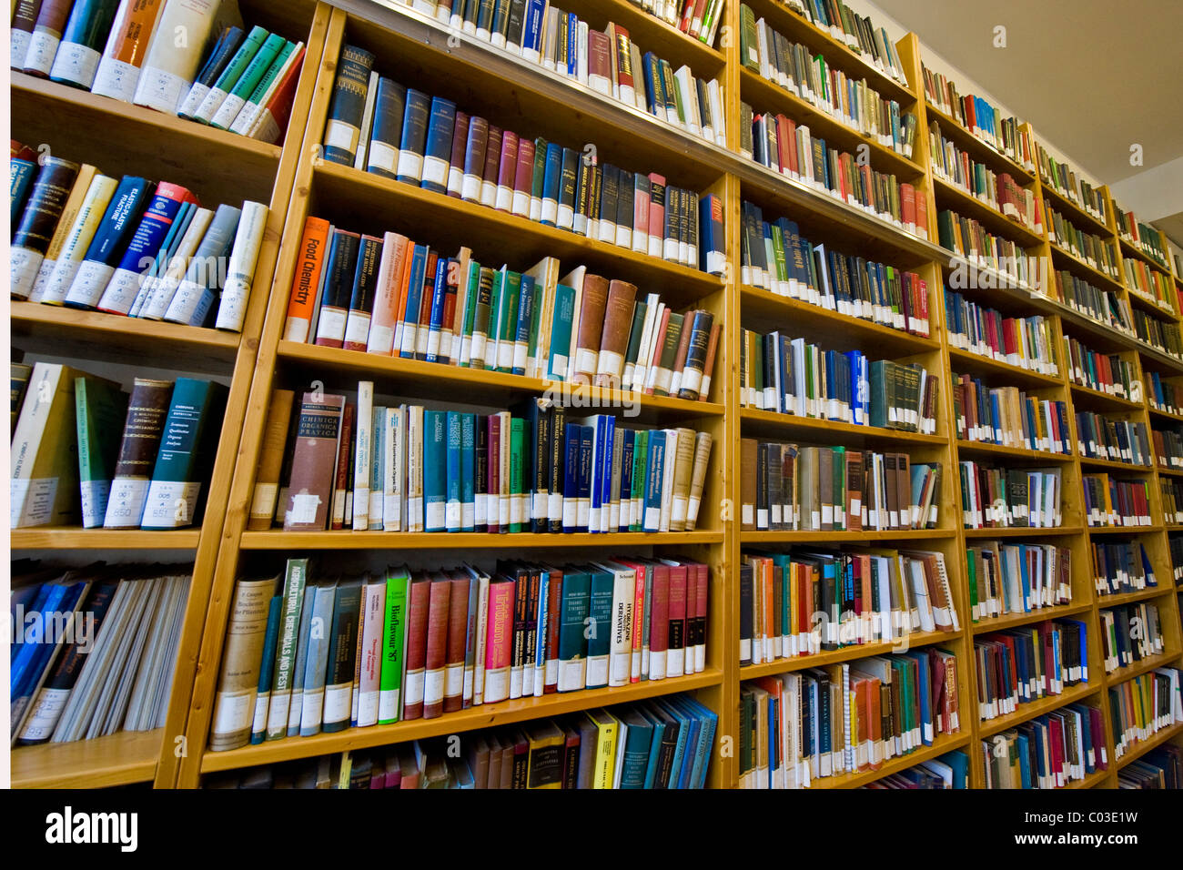 Library, Polytechnic University, Milan, Italy Stock Photo - Alamy