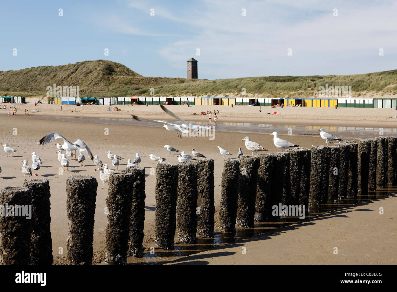 Timber on beach hi-res stock photography and images - Alamy