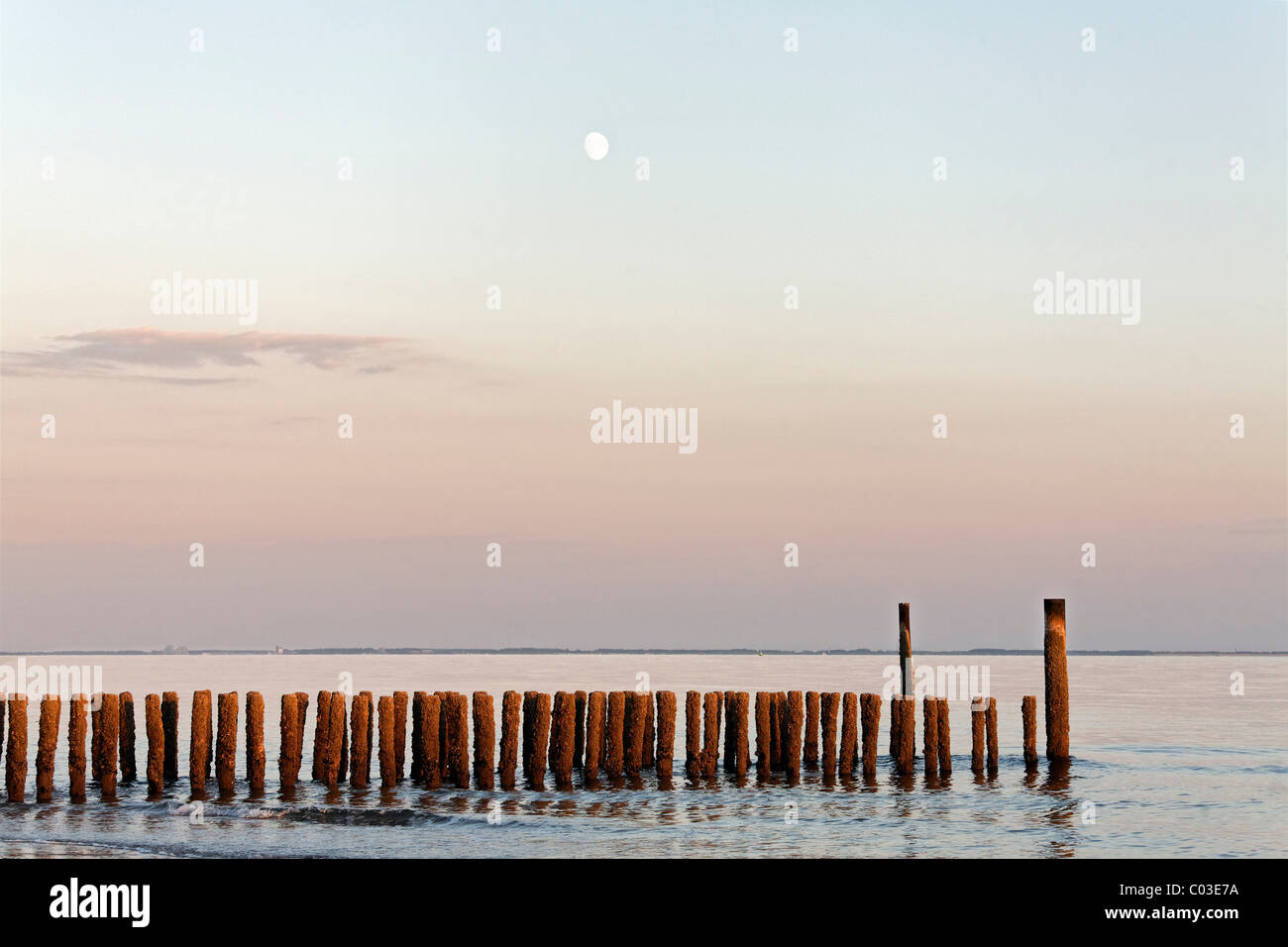 Timber on beach hi-res stock photography and images - Alamy