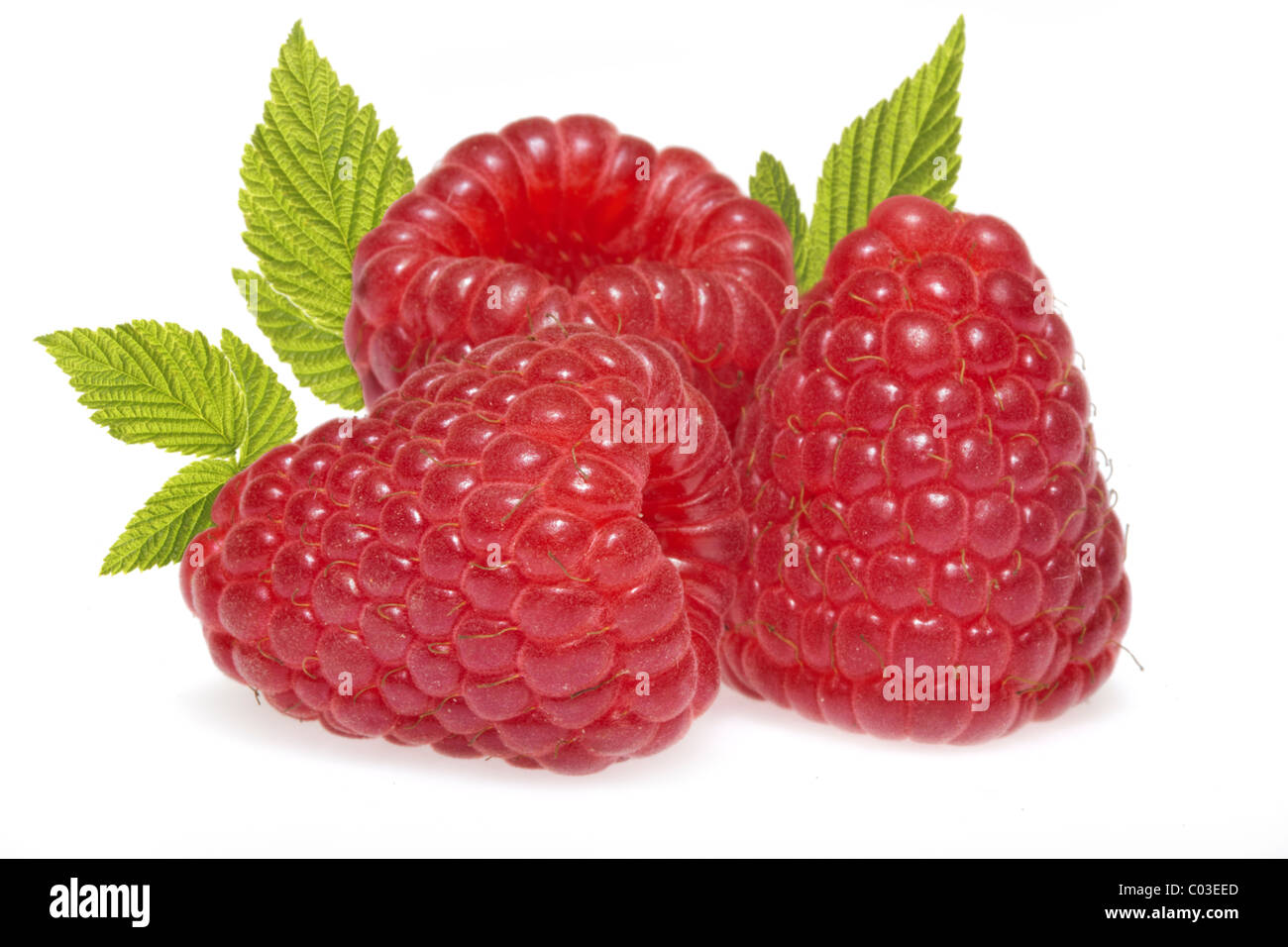 Three raspberries with leaf isolated on white Stock Photo - Alamy