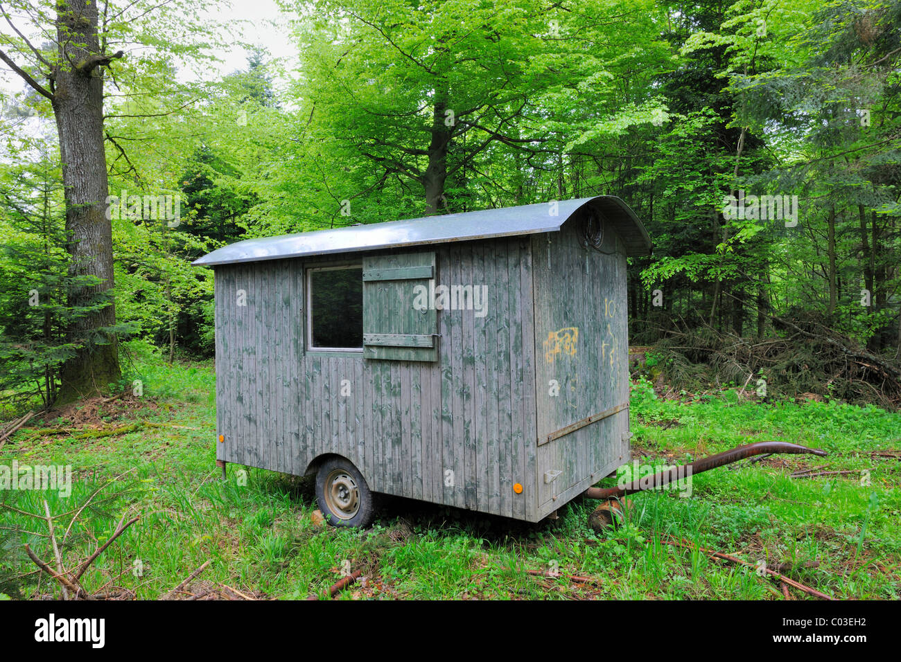 Mobile hut of forest workers in the forest near Welzheim, Baden ...