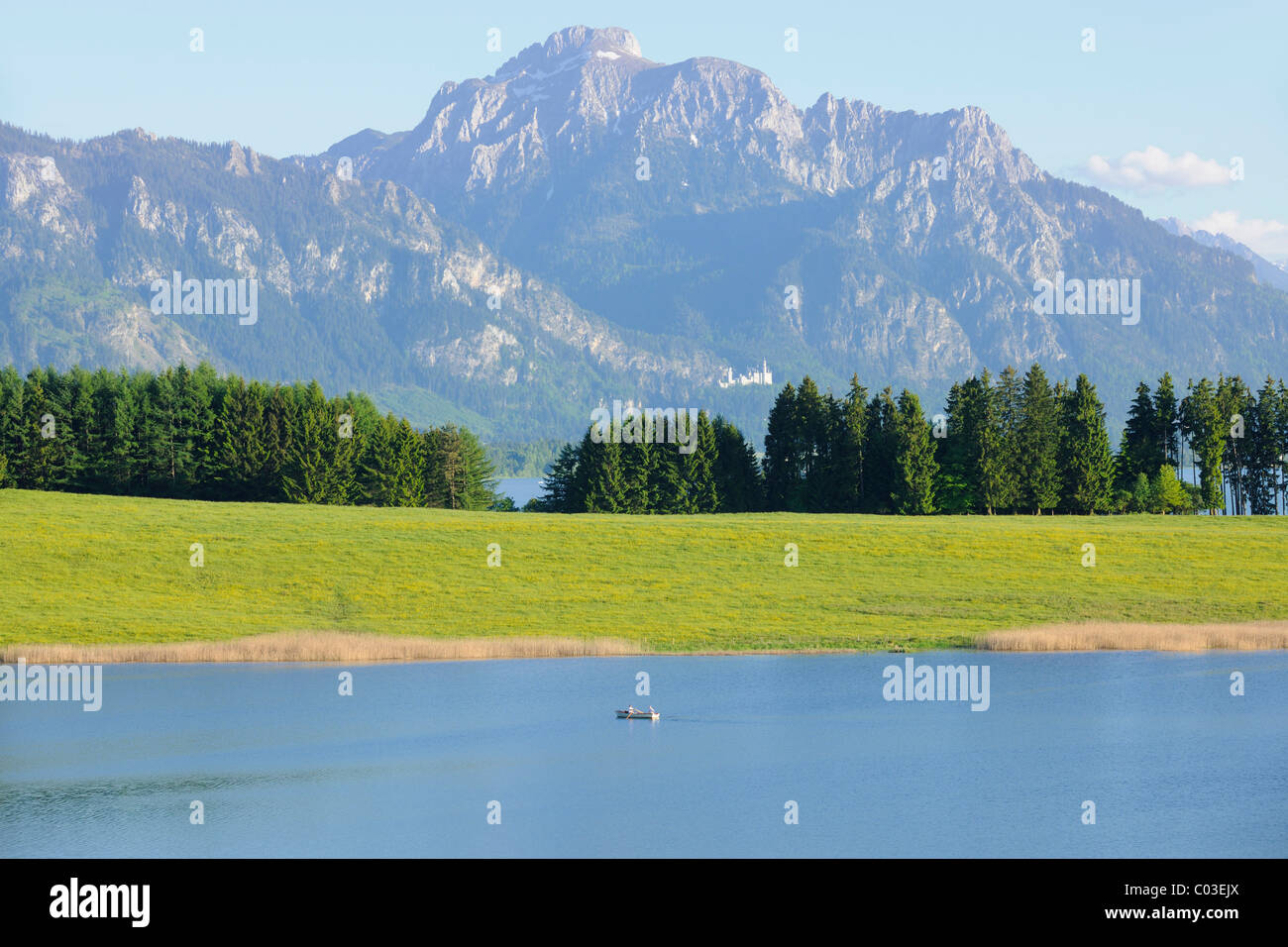 Lake Forggensee near Fuessen, Thannheimer Berge mountains, Ostallgaeu ...