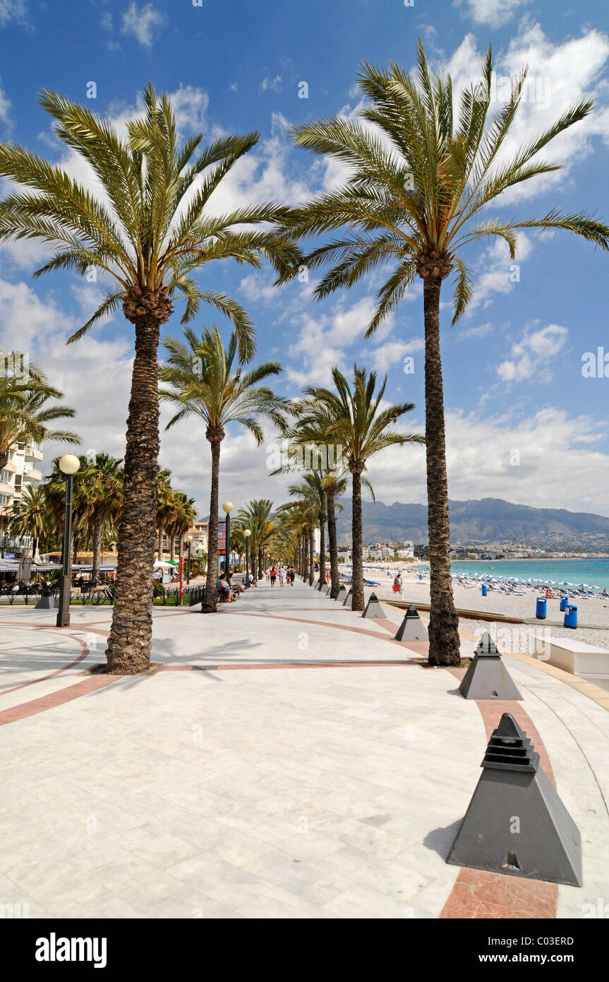 Promenade of Stars, El Paseo de Estrellas, famous personalities, beach ...