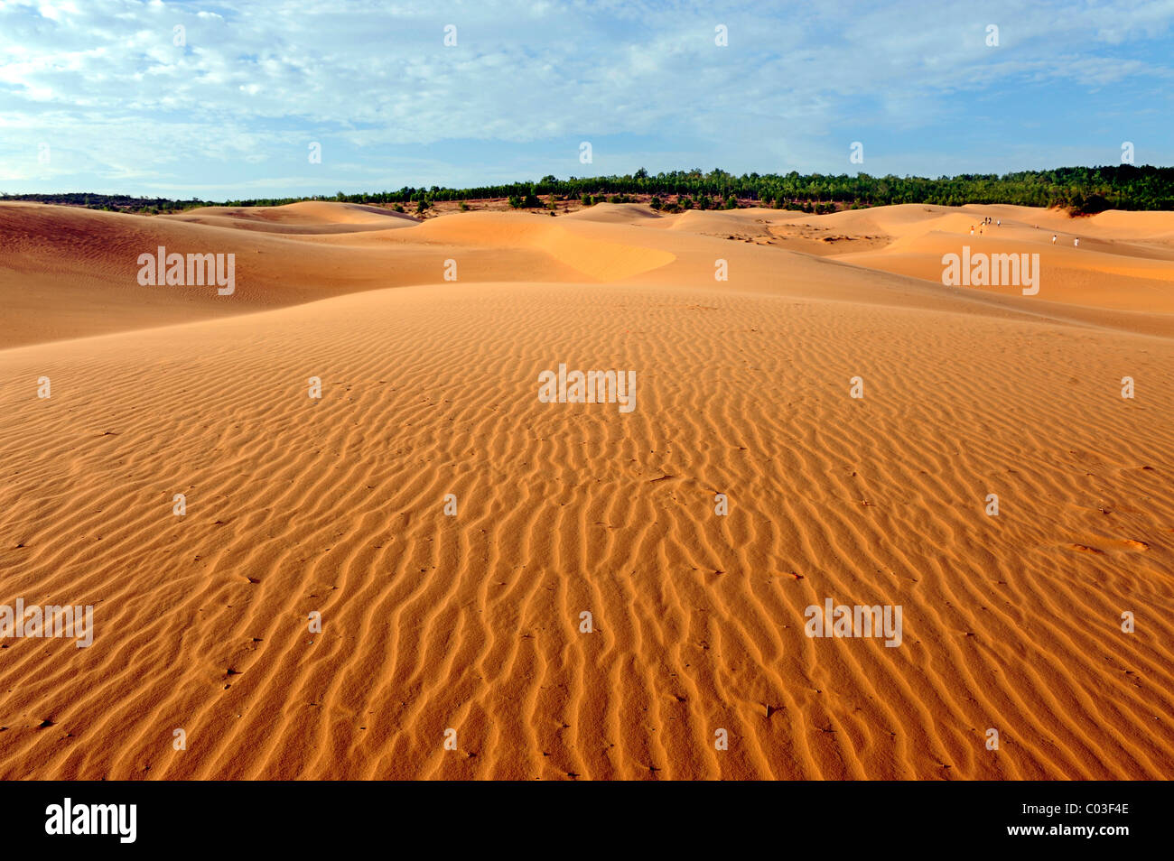 Sandd ne hi-res stock photography and images - Alamy