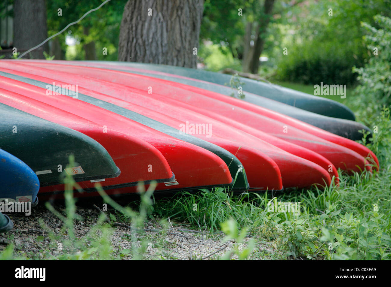 Canoes line up on land in preparation for use on a river trip Stock ...