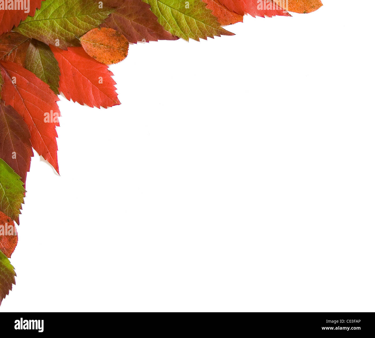 a colorful frame from autumn leaves Stock Photo - Alamy