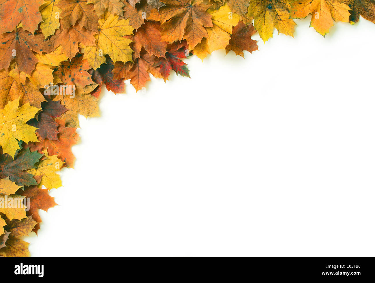 colorful frame from autumn leaves Stock Photo - Alamy