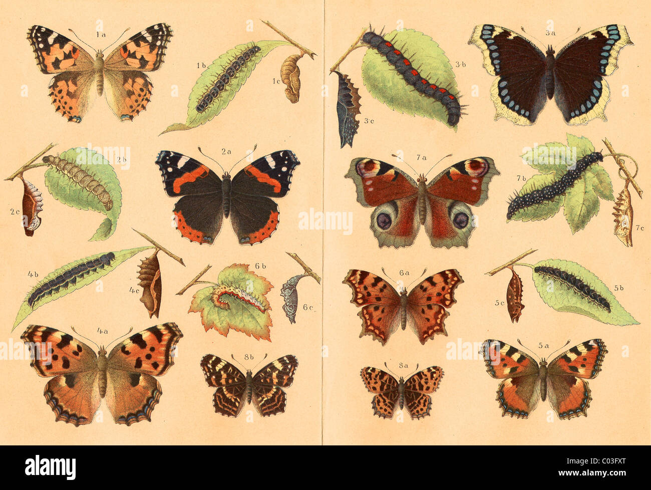 Lithography and color lithography hi-res stock photography and images ...