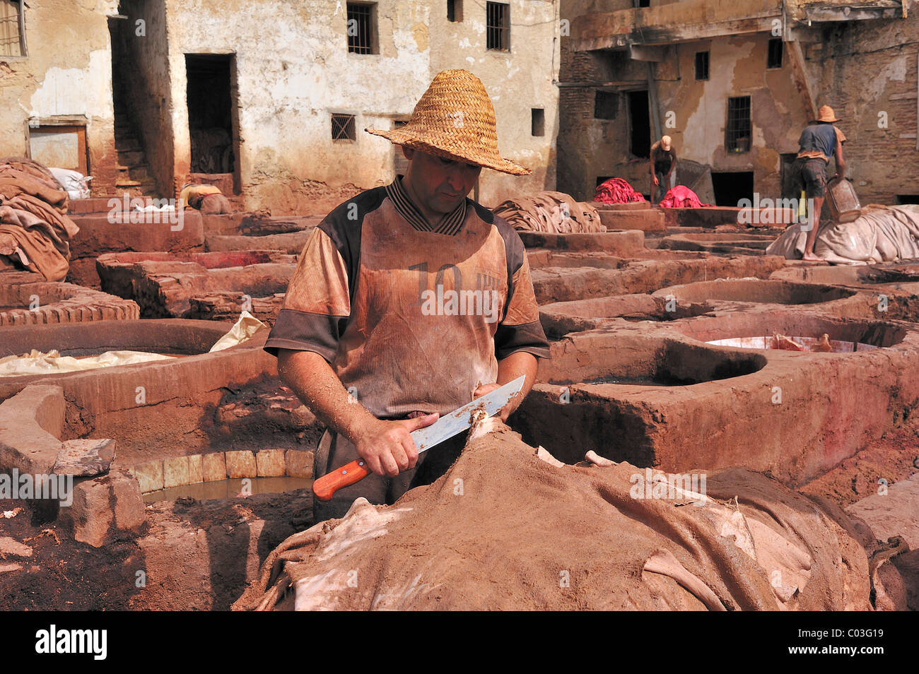 Human skin colors hi-res stock photography and images - Alamy