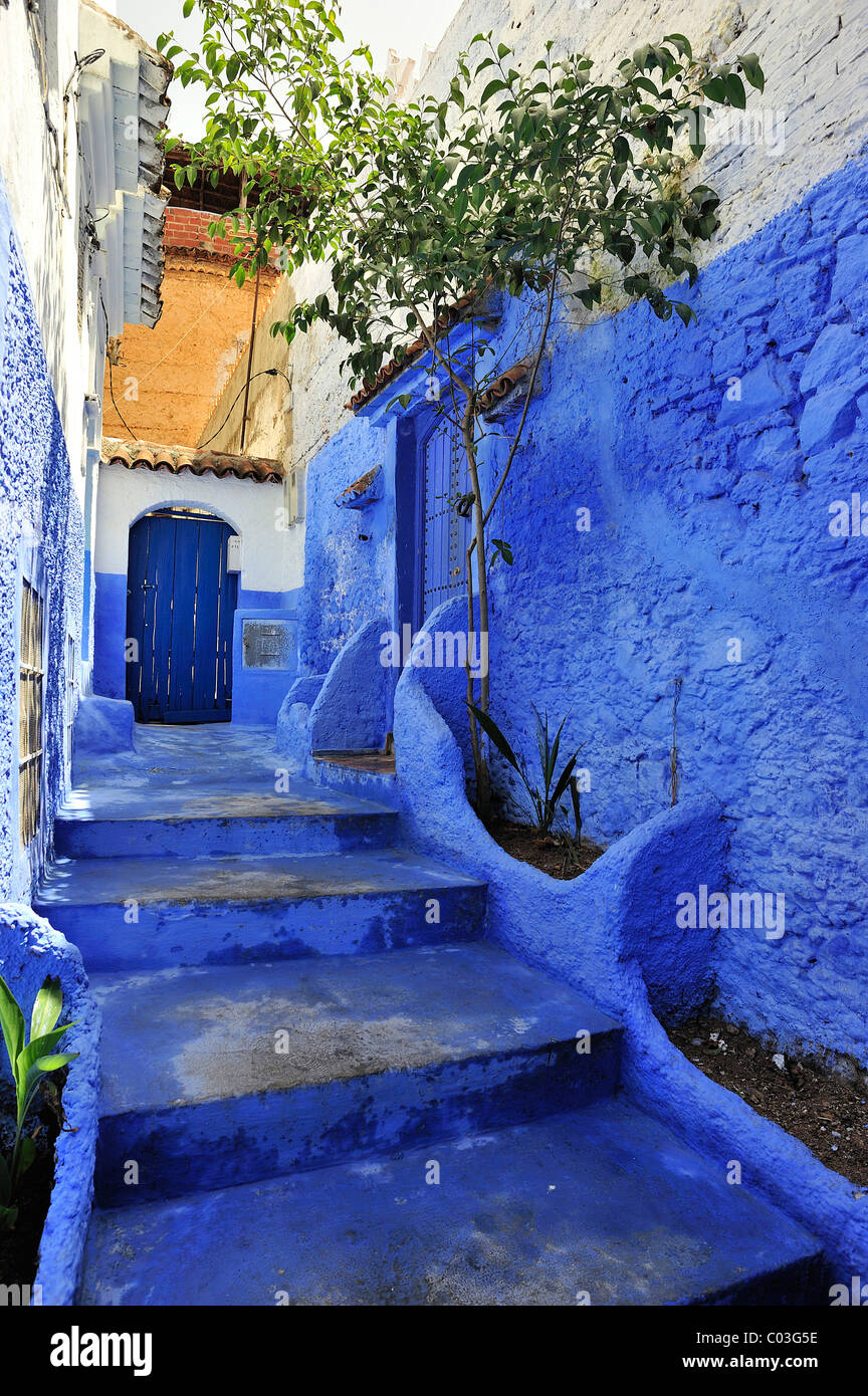 Narrow stairways in chefchaouen hi-res stock photography and images - Alamy