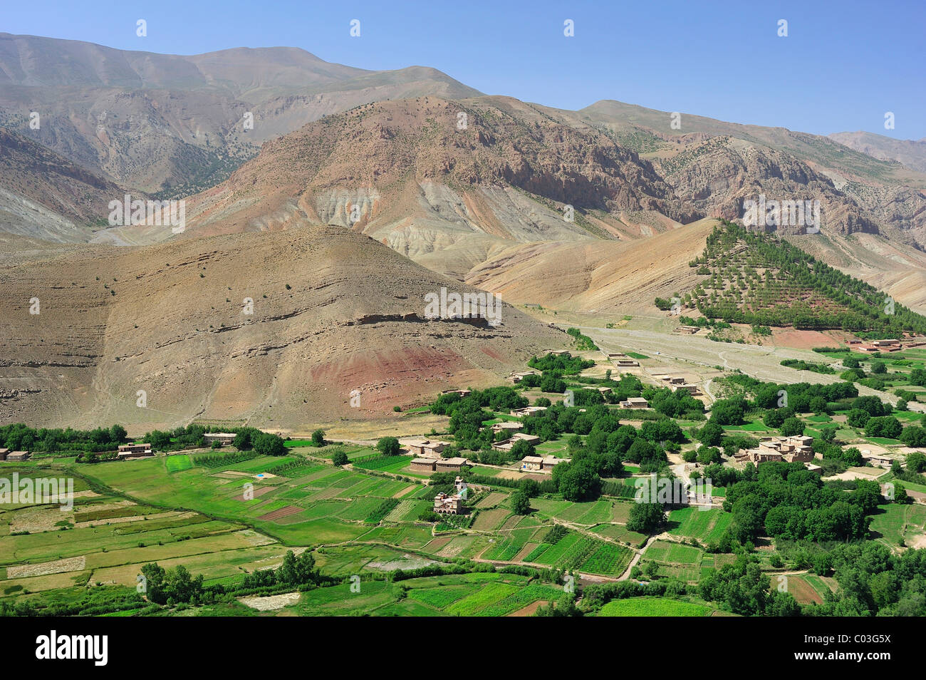 Oasis landscape with fields, walnut and apple trees, Ait Bouguemez ...