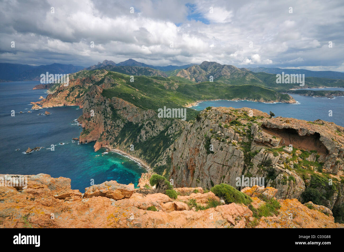 Capu High Resolution Stock Photography and Images - Alamy