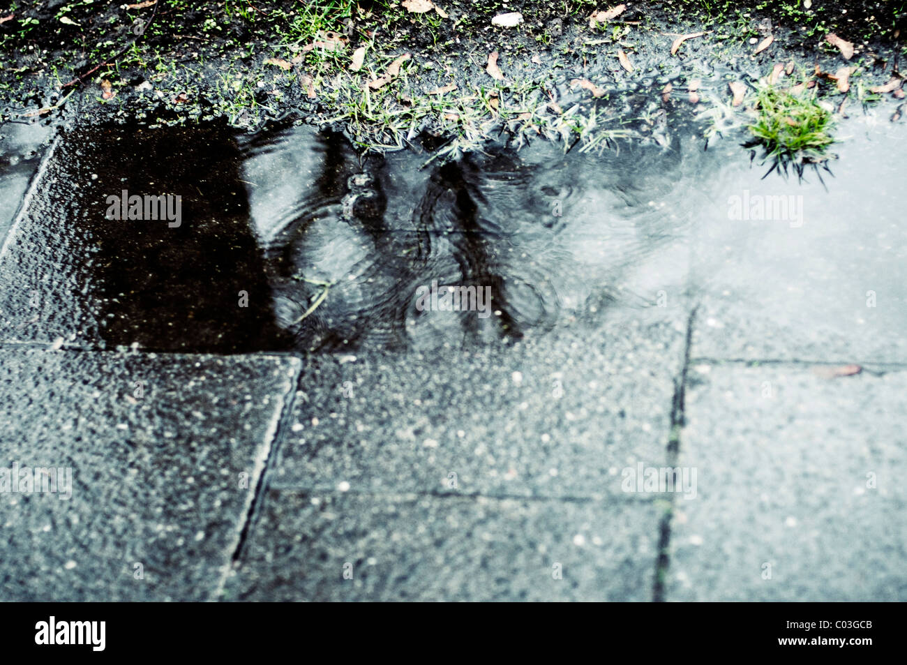 Puddles with raindrops hi-res stock photography and images - Alamy