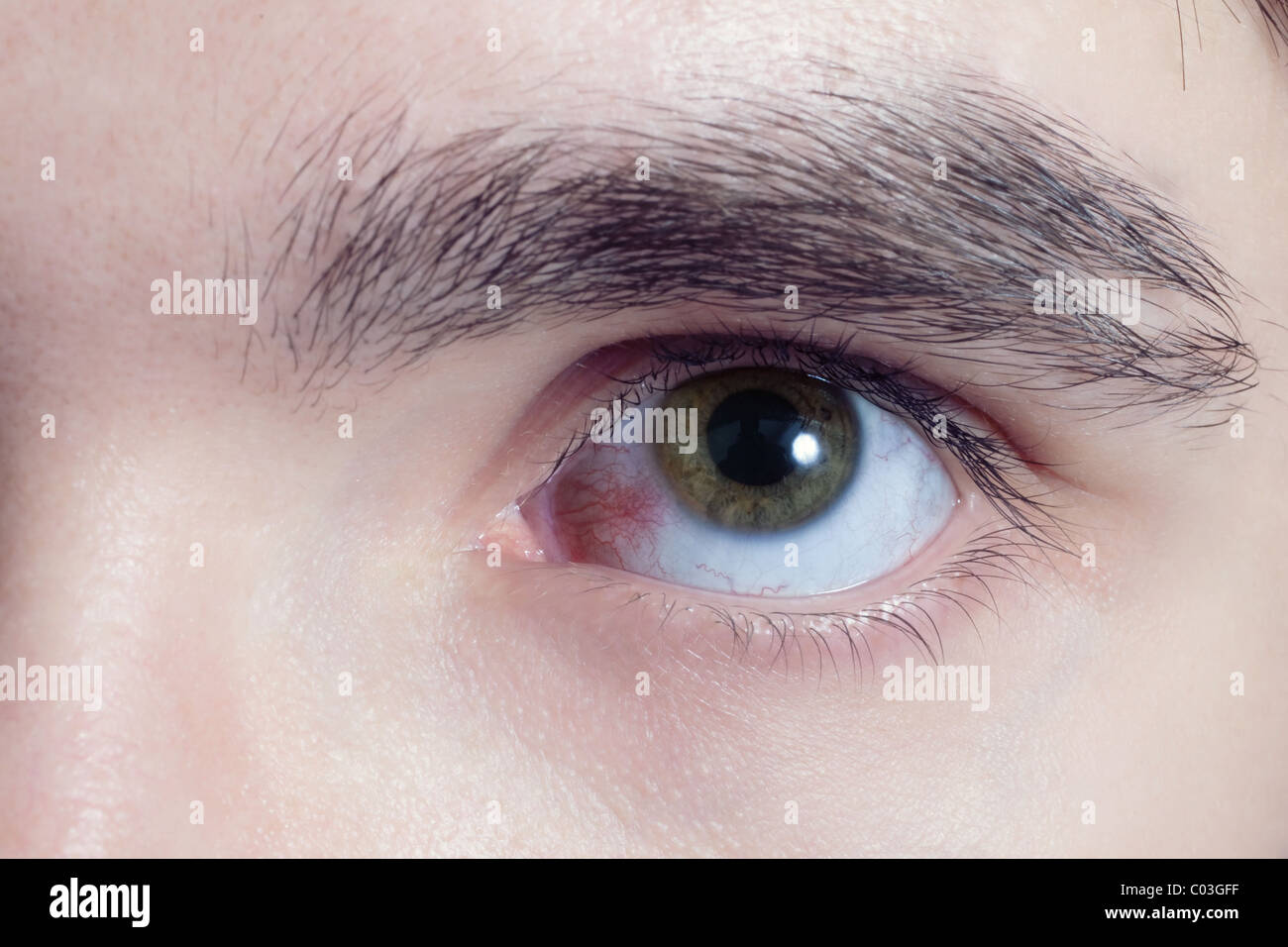 Retina blood vessels hi-res stock photography and images - Alamy