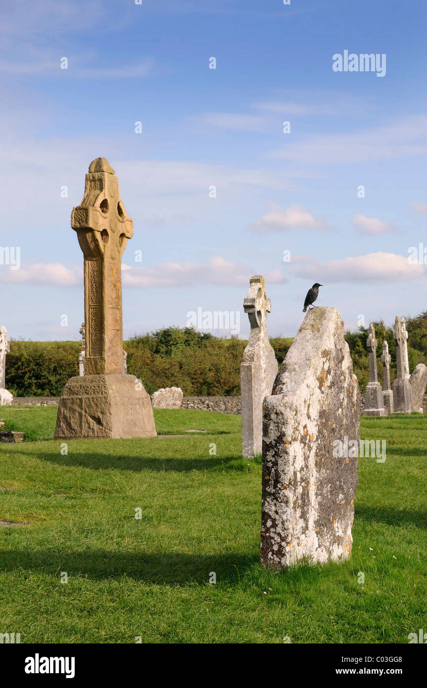 Replica of the high cross in the State Museum, monastery ruins of ...