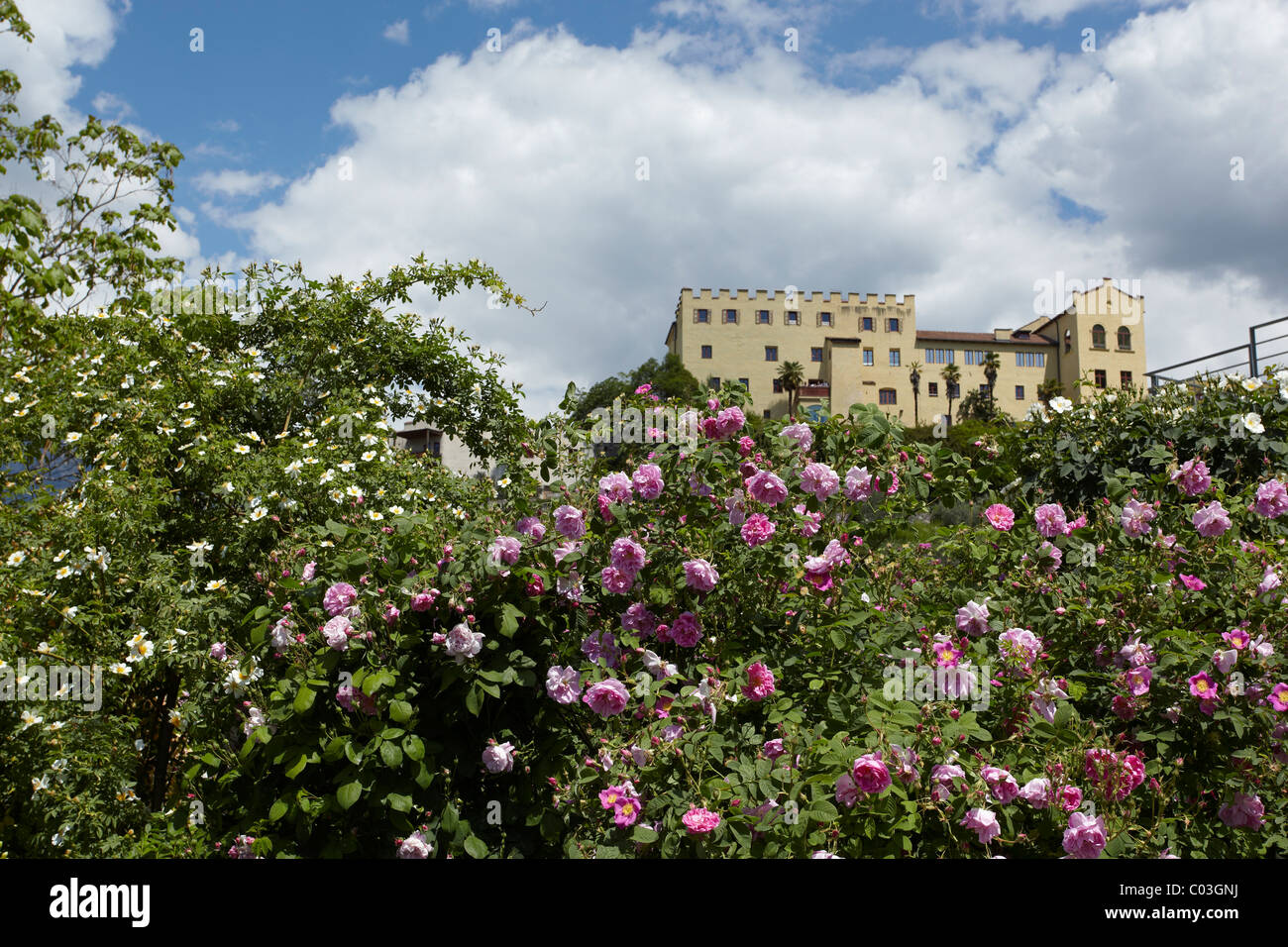 Trauttmannsdorff Castle, Meran, South Tyrol, Italy, Europe Stock Photo ...