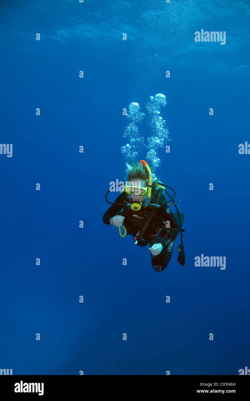 Scuba diving the egyptian red sea hi-res stock photography and images ...