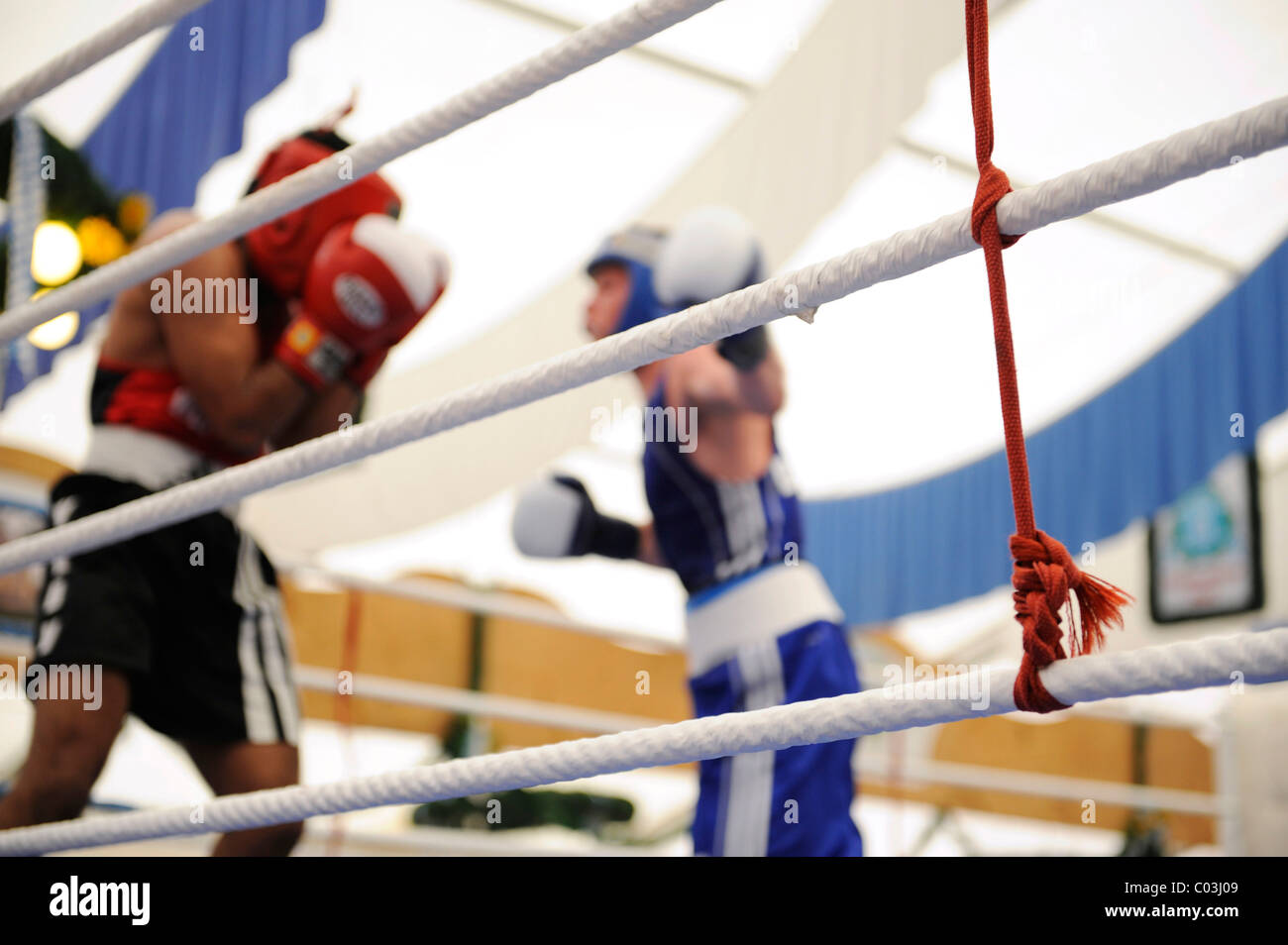 Traditional boxing match in a beer tent at the Volksfest festival in ...