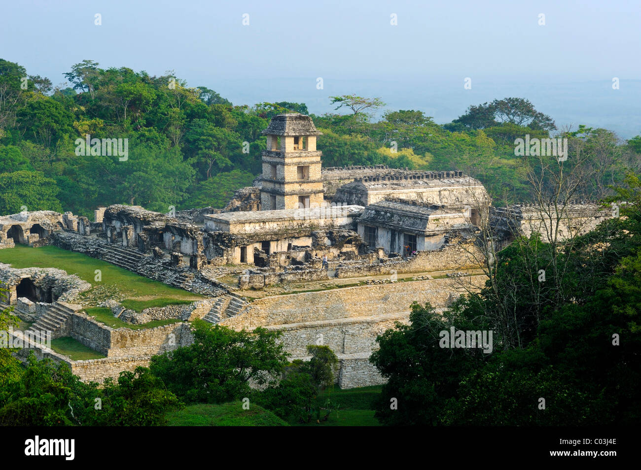 Mayan Ruins of Palenque, temple, Chiapas, Mexico, North America Stock ...