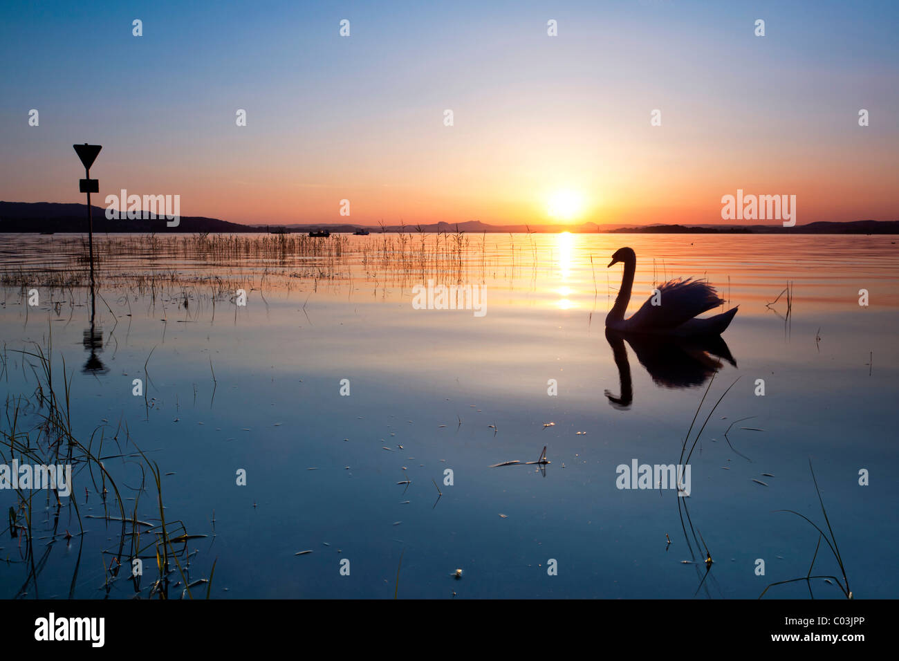 Backlit sign hi-res stock photography and images - Alamy