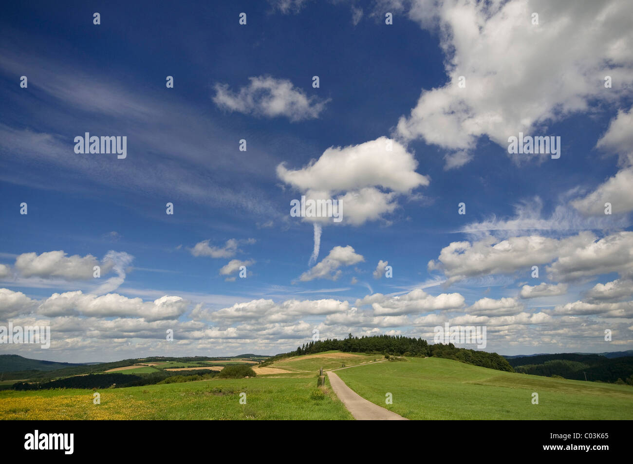 Landscape of meadows and forest, Eifel Nature Park, Germany, Europe ...