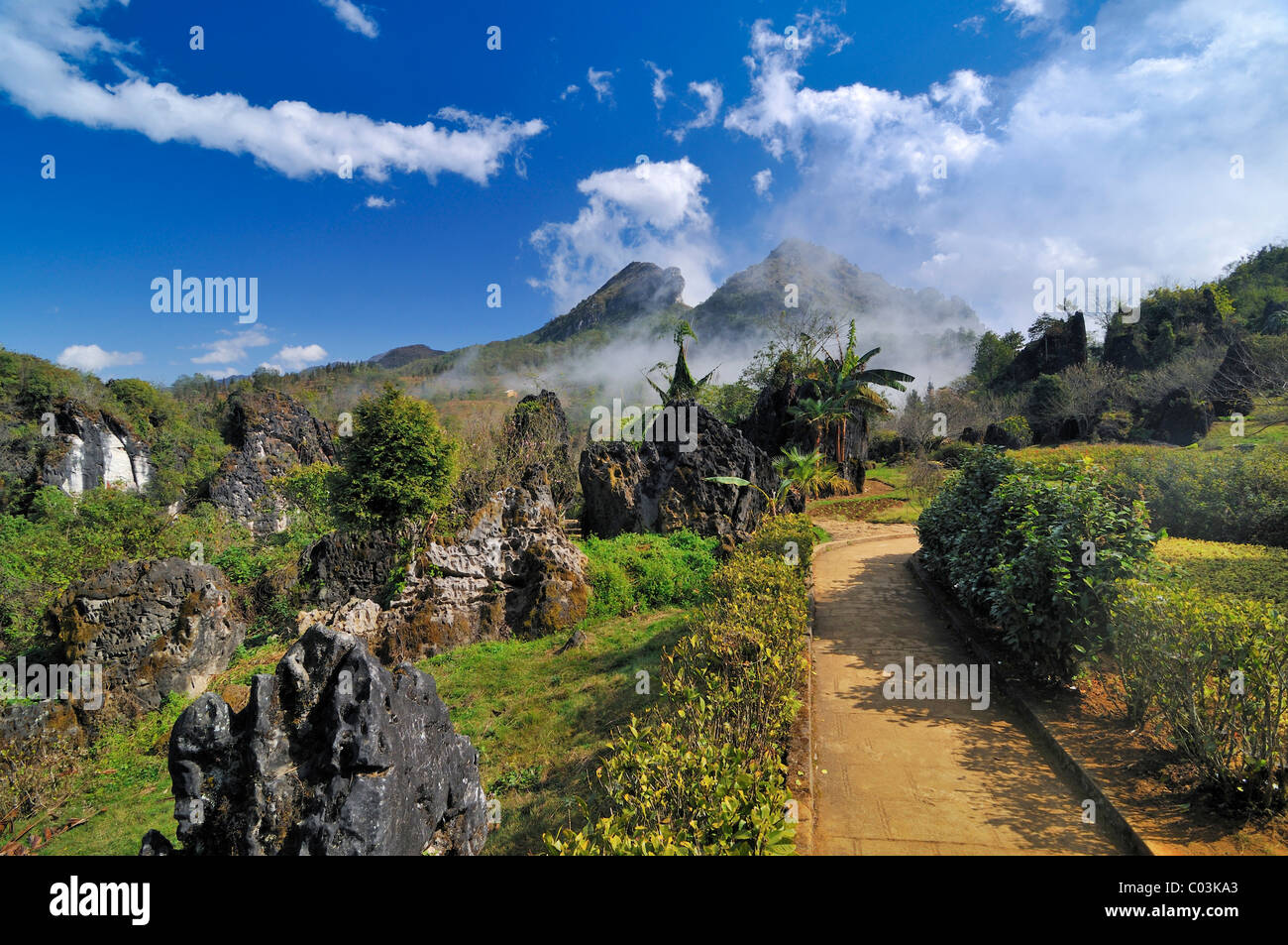 Ham Rong Mountain, Dragon Jaw Mountain, Sapa, Vietnam, Asia Stock Photo ...