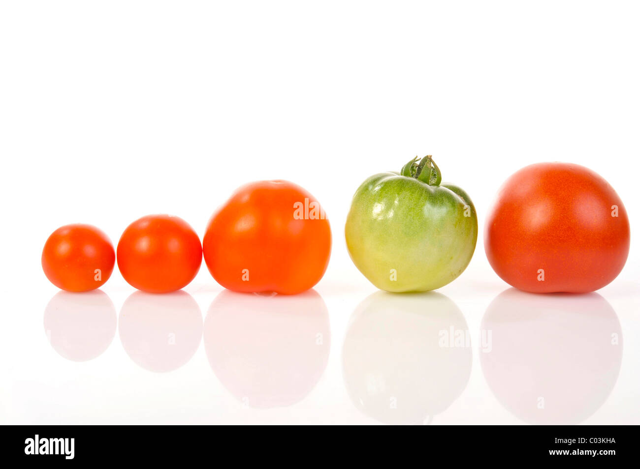 Different size plants hi-res stock photography and images - Alamy