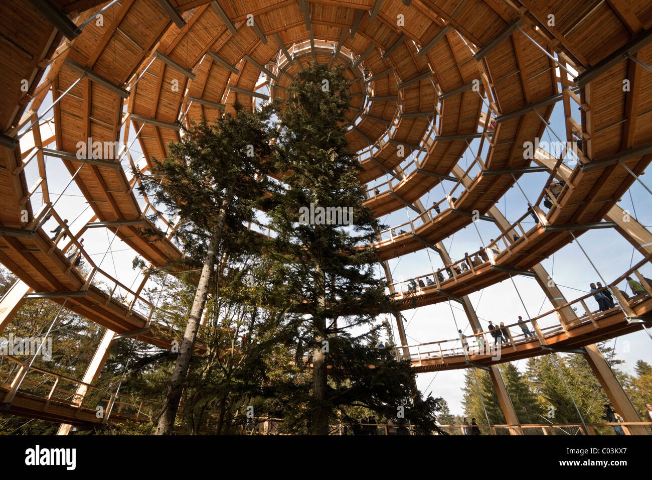 Tree-top walk, Neuschoenau, Bavarian Forest National Park, Lower ...