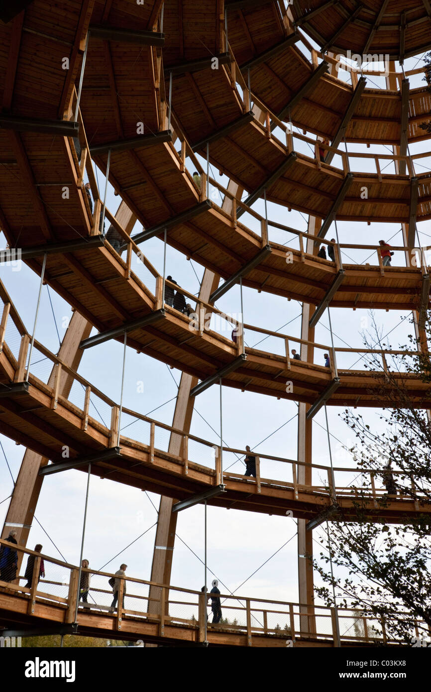 Tree-top walk, Neuschoenau, Bavarian Forest National Park, Lower ...